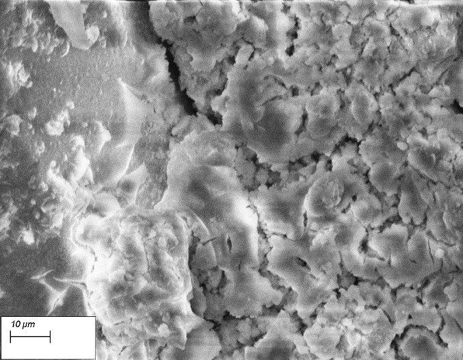 Novel Approach To Concrete Protection Slows Deterioration In Harsh ...