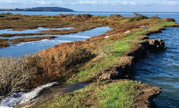 Wetlands Restoration White Slough Project Engineers A Model For The ...